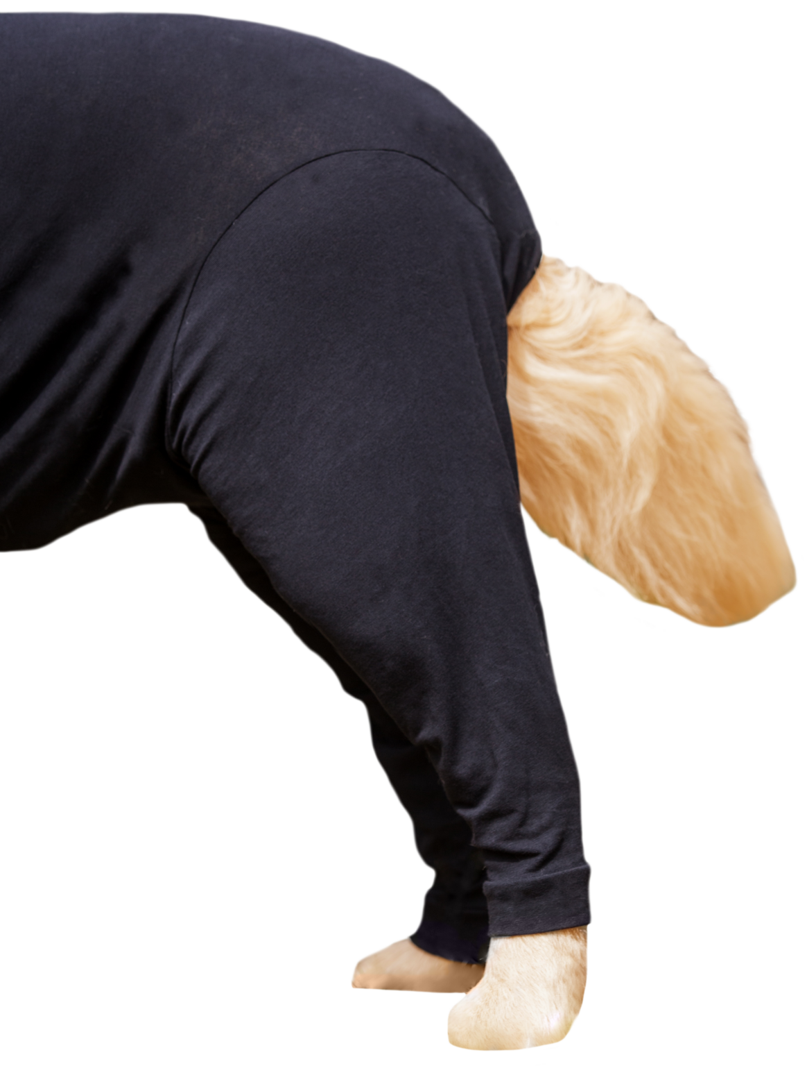 OP-Body Hunde Post-OP Hunde Body Wundschutz Leckschutz Medi Cape ...